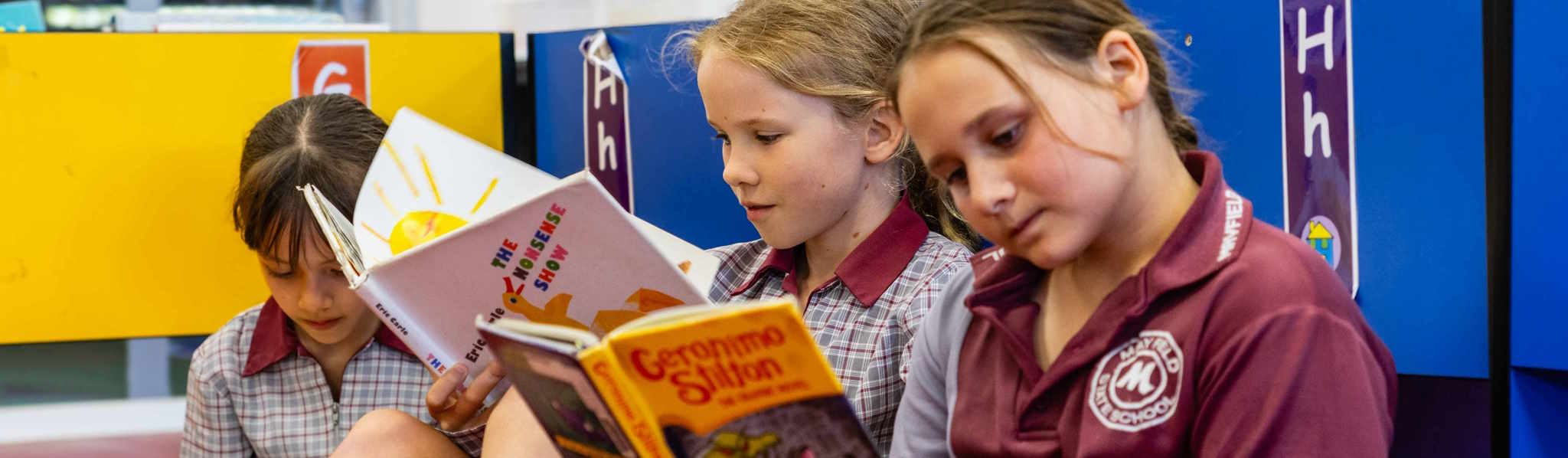 Mayfield State School